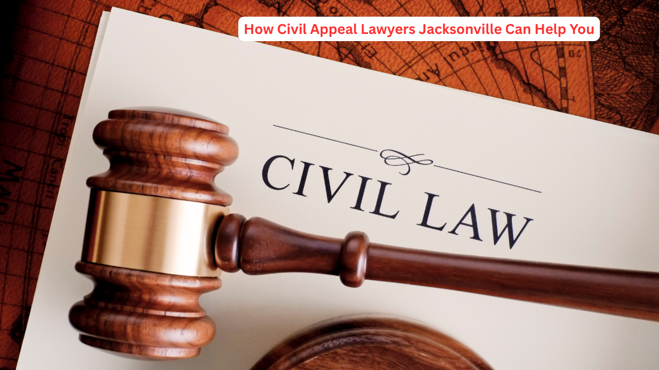 How Civil Appeal Lawyers Jacksonville Can Help You - Brownstone Law