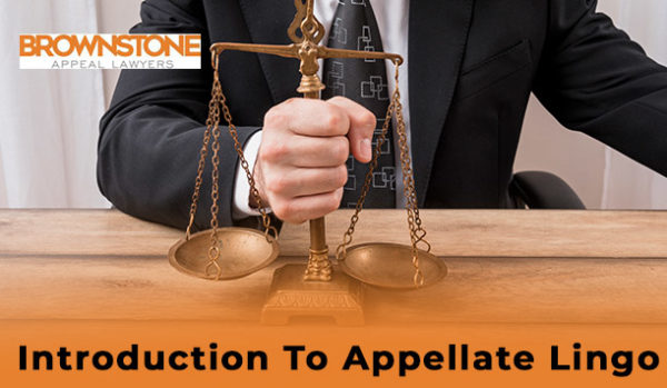 The best process Appeals Attorneys in Florida?