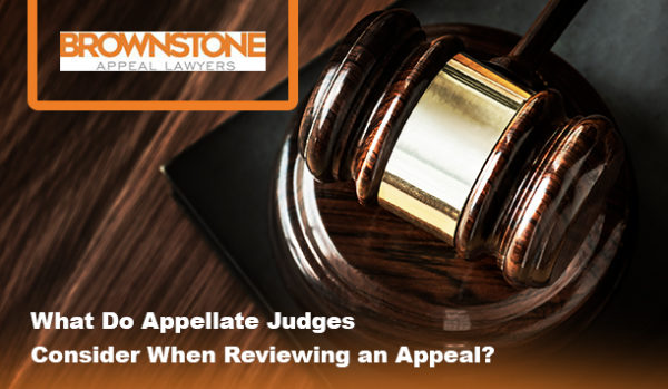 What Do Appellate Judges Consider When Reviewing an Appeal?