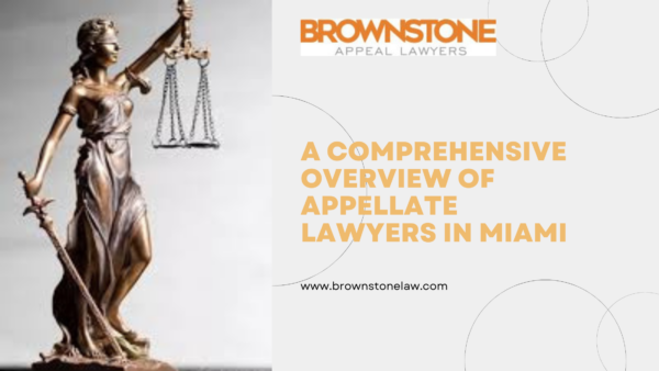 A Comprehensive Overview of Appellate Lawyers in Miami